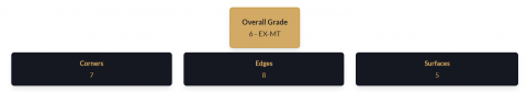 Introducing Ace Crossover Service - A look at Gym Challenge. - Ace Grading